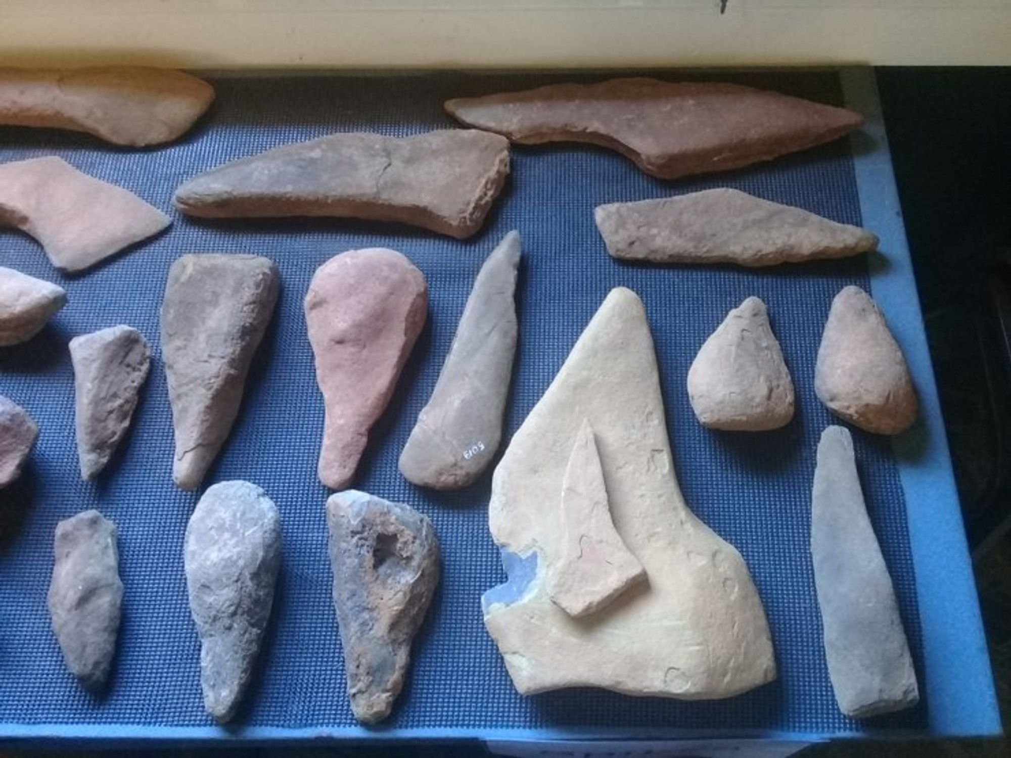 PICS: Scientists uncover humanoid fossils in Mpumalanga