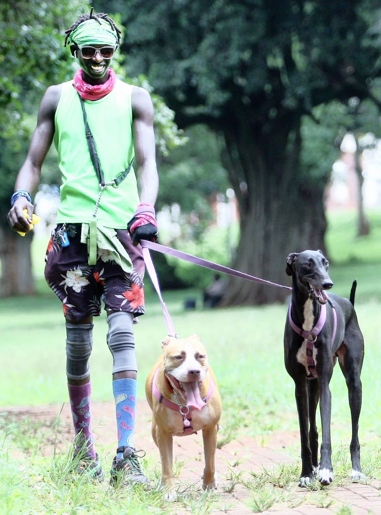 Walking dogs saves Wesley from a life on the streets of Durban