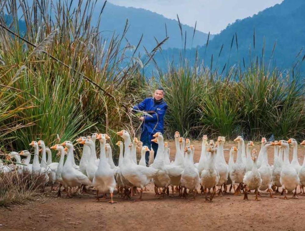 98 percent once-impoverished residents in China benefit from policies ...