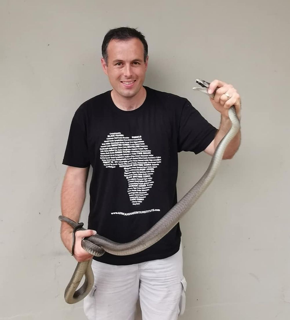 KZN family keeps their cool after 2.5m black mamba slithers into their home
