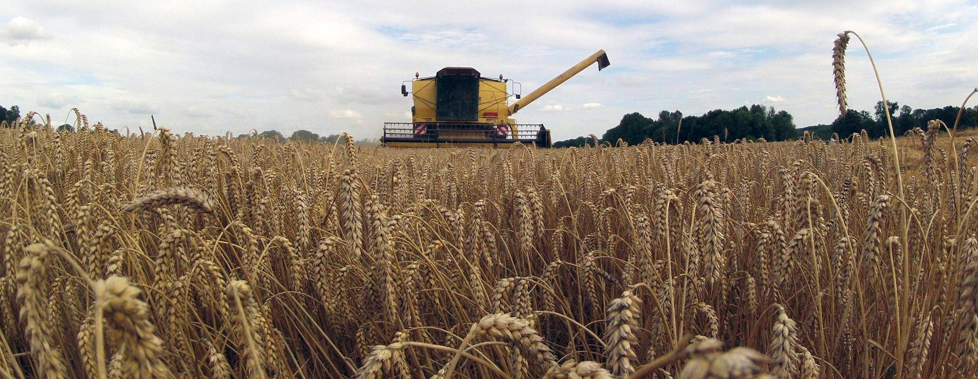 Kaap Agri revenue and earnings surge in the first quarter