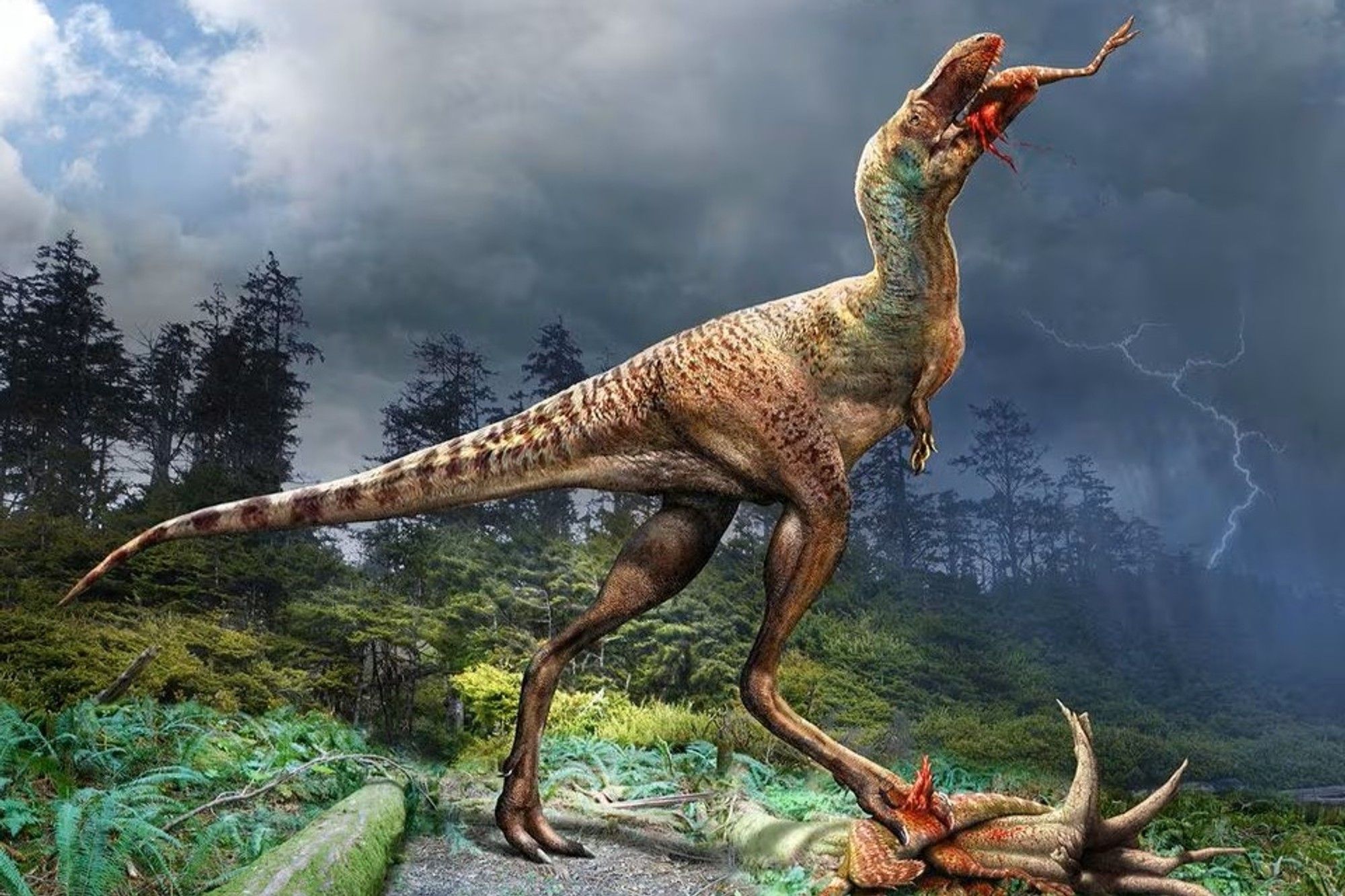 Fossils show dismembered young dinosaurs in belly of T rex cousin