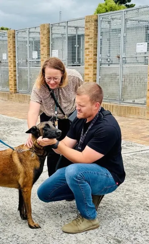 'Close to complete collapse': Ian Cameron calls for urgent ...