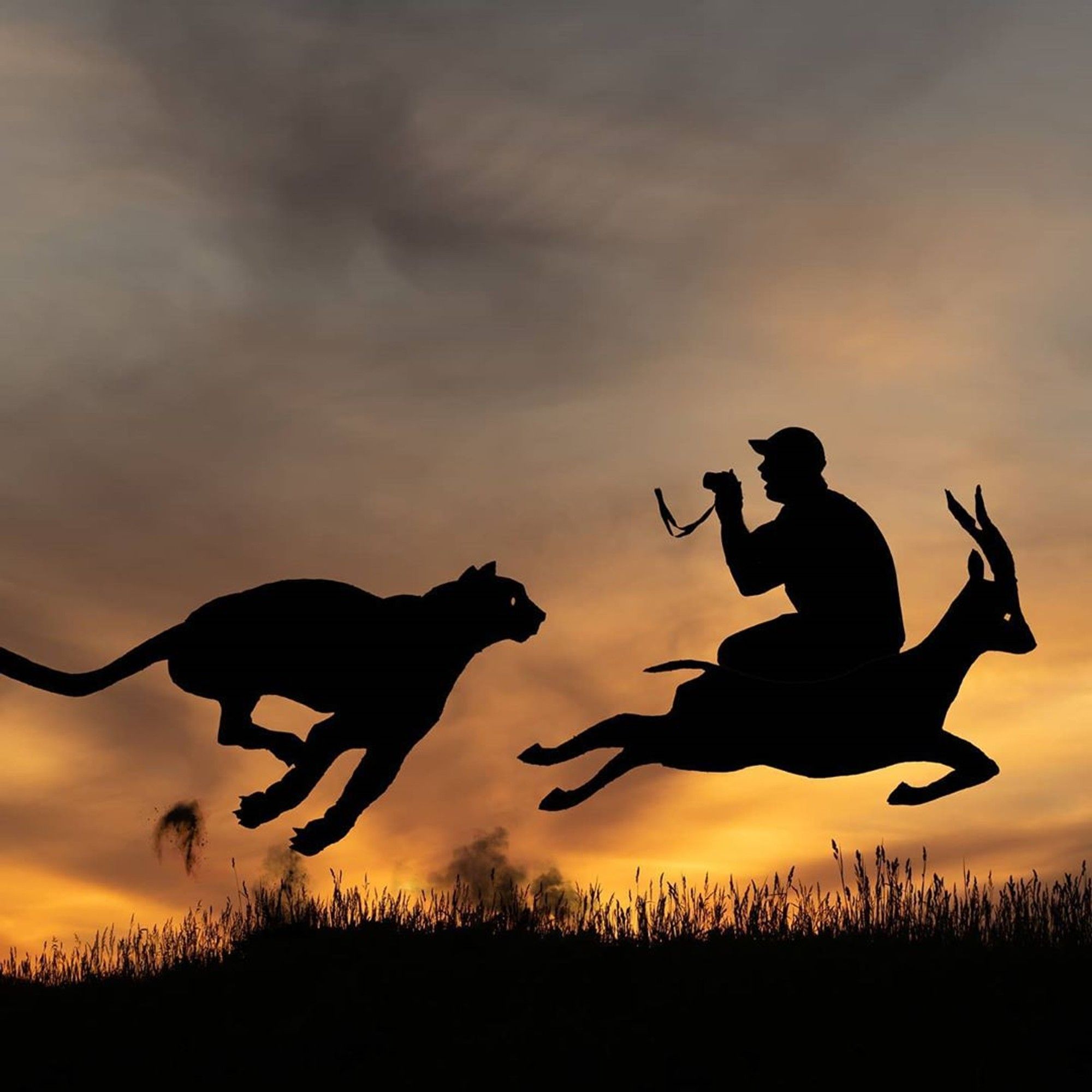 WATCH: Stunning sunset scenes created by cardboard goes viral