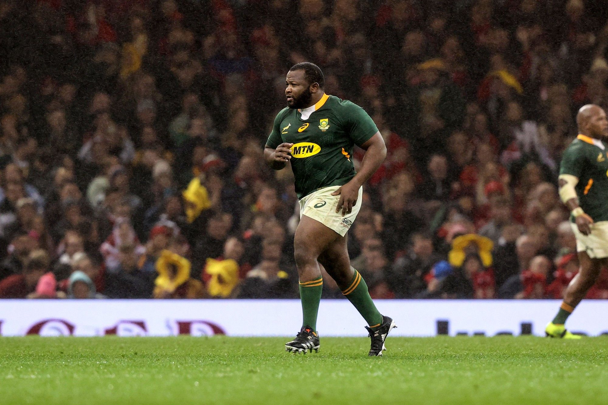 ’Ox’ Nché fired up for Springboks’ ‘beast’ of a showdown against Scotland